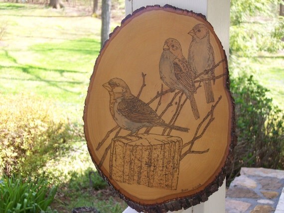 Three Sparrows On Tree Woodburning Pyrography