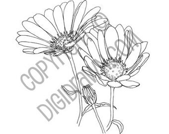 Daisy digital stamp | Etsy