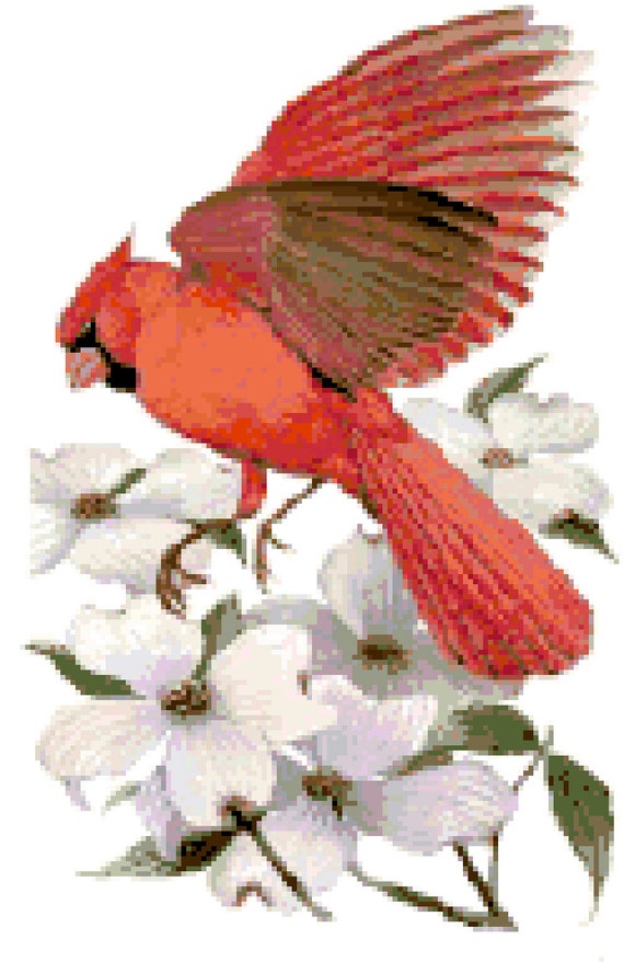 north-carolina-state-bird-flower-counted-cross-stitch