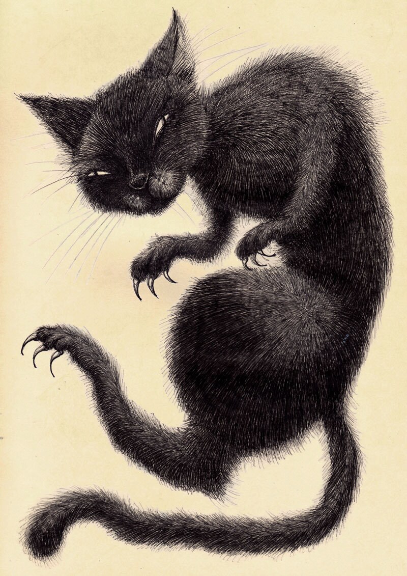 Black Cat Print By Foxcomet On Etsy