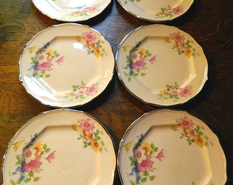 Set of 6 Small Sized Pink Floral China Plates with Platinum Trim Made ...