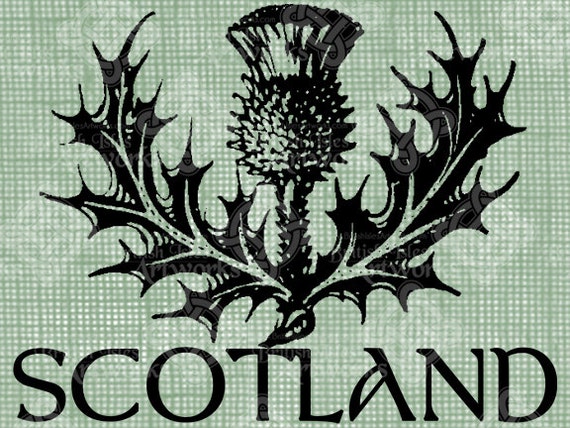 Digital Download Scotland Thistle digi stamp digital stamp