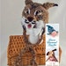 Crochet Pattern 084 Bobcat Earflap Beanie Hat All Sizes
