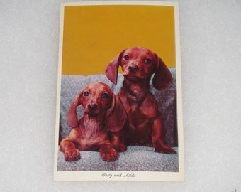 Vintage dog postcard | Etsy