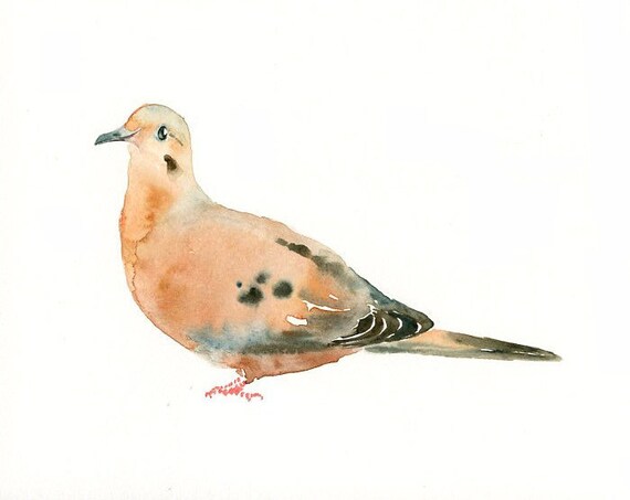MOURNING DOVE 7x5inch Art Print-Bird Watercolor Print-Giclee