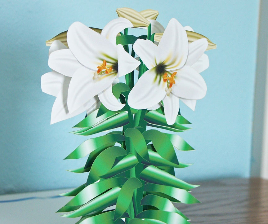 3D White Lily Card popup White Lilies pop-up flower card