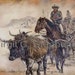 Saddle Bronc drawing of a rodeo cowboy riding a bronc at the