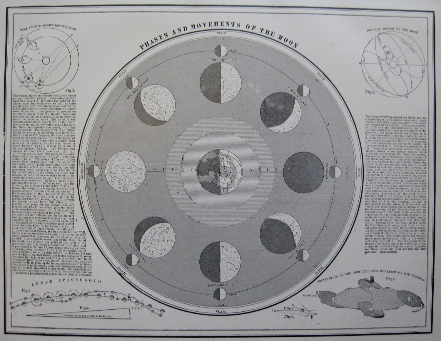 Vintage Moon Phases