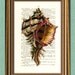 SEA LIFE SHELL Dictionary Art Print by littlevintagechest