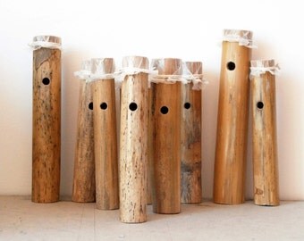 Popular items for kazoo on Etsy