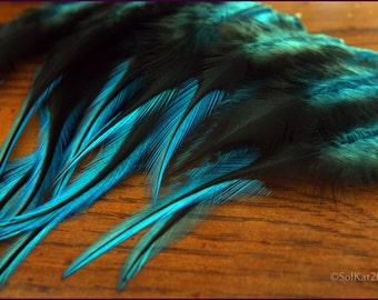 Blue feather | Etsy