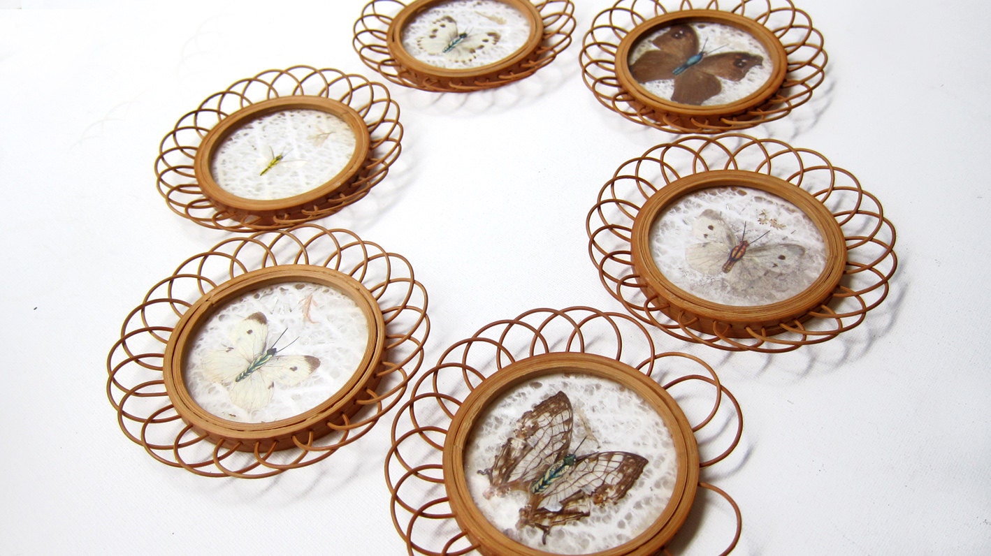 Vintage 1960s cane ricepaper butterfly coaster set – Haute Juice