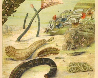 Popular items for sandworm on Etsy