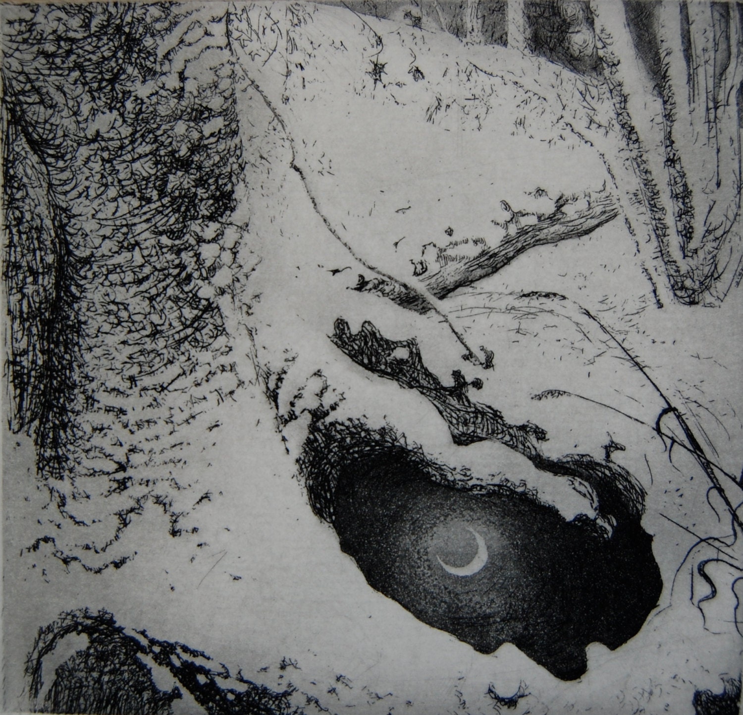 Winter moon etching by Flora McLachlan snow pool tree