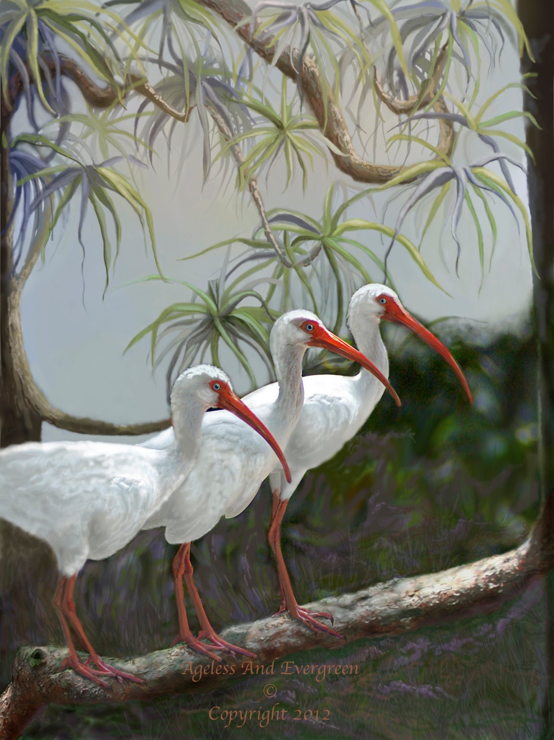 Ibis Sunrise... Print of An Original Oil Painting Home Decor
