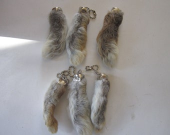 Rainbow Native Traders by rainbownativetraders on Etsy