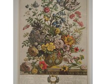 Popular items for robert furber on Etsy