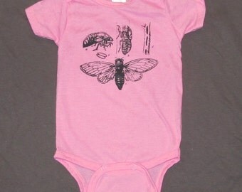 Insect Onesie - Baby Cicada Life Cycle - 9-12 months - Pink Onsie ...