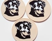 Nature Theme Trivets Placemats Coasters For The by altecenterprise