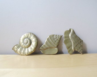Popular items for brass seashell on Etsy