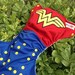 Wonder Woman Inspired Cloth Pocket Diaper by LittleButtDiapers