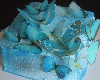 Eetbare vlinder | Etsy