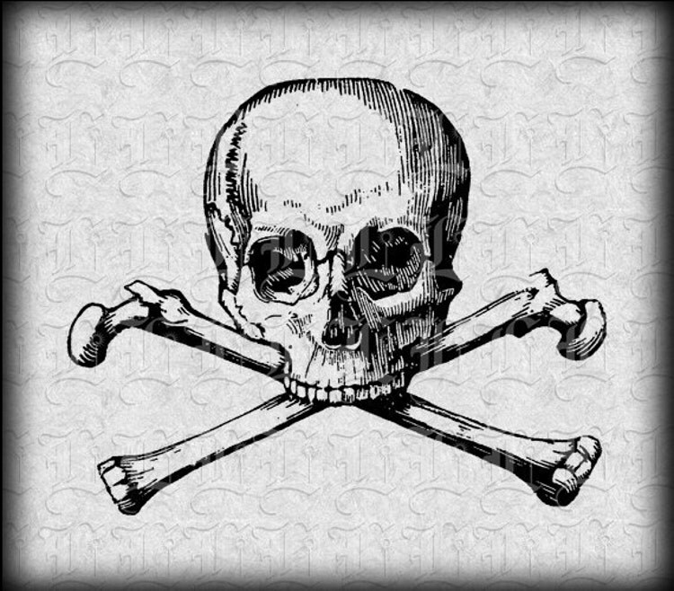 Poison Skull Image Digital Skull Graphic by luminariumgraphics