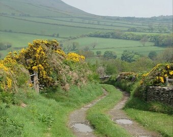 Popular items for backroads on Etsy