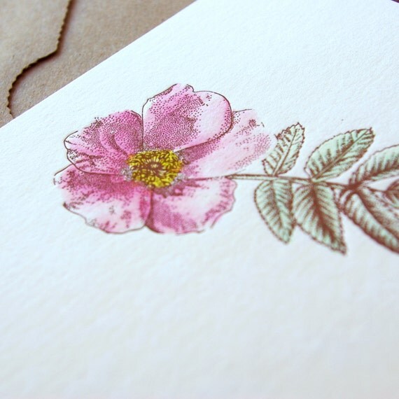 Items similar to Wild Rose Letterpress Card, Hand Painted Card ...