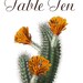 Cactus Table Numbers Desert Table Tents Cactus Table Cards