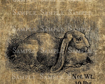 Primitive Vintage Easter Postcard Rabbit Bunny by Starrmtnprims