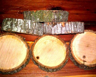 Set of FIVE 10" tree HICKORY wood slices 3/4" thick rustic wedding ...