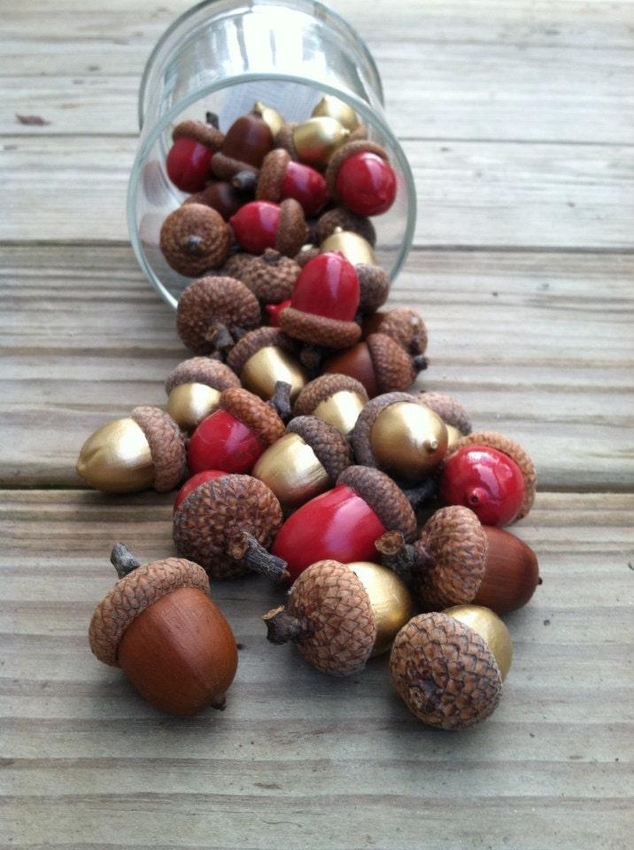 25 whole gold colored real decorative acorns