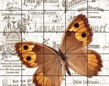 Popular items for papillon fabric on Etsy