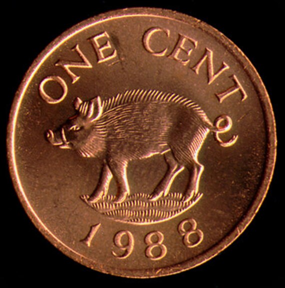 Cute Bermuda one cent Wild Pig Boar Pig coin Piglet km44
