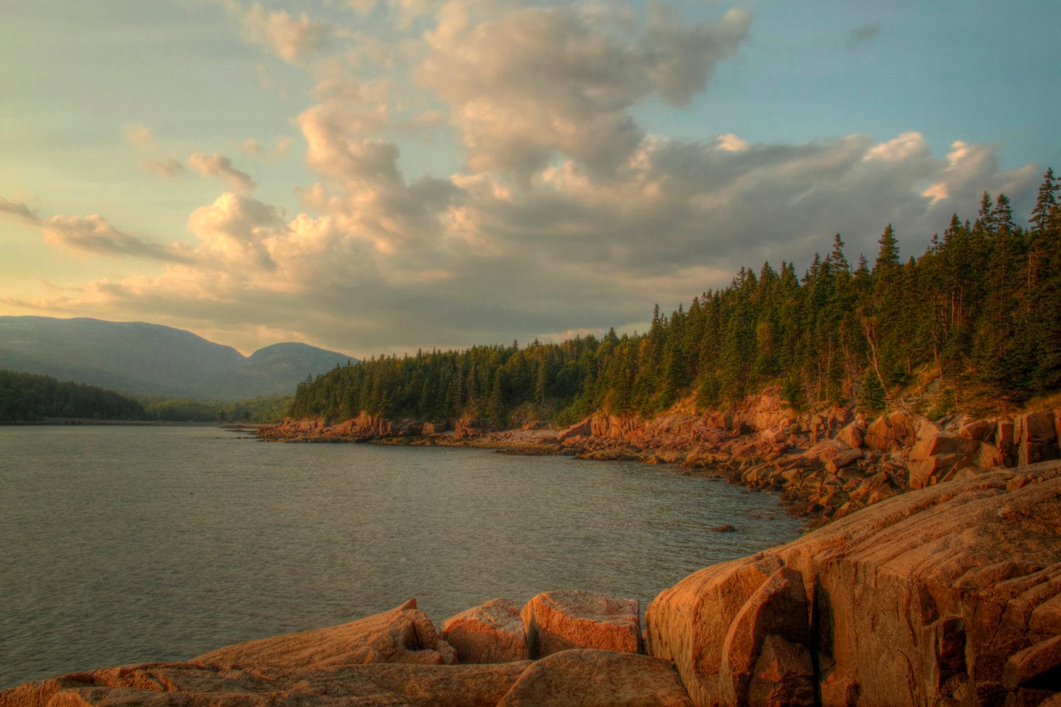 Otter Cove Acadia National Park Landscape Photography Maine