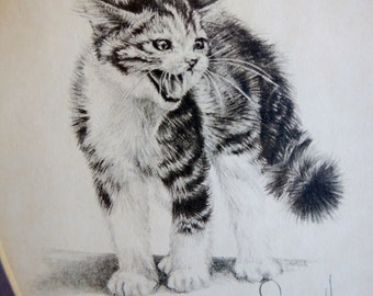 Sueellen Ross Spitting Kitten Framed Cat Art / Drawing / Cat Art / Cat ...