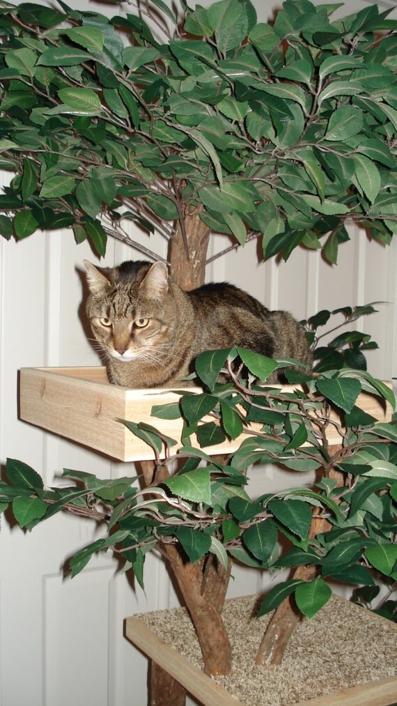 Kit-ty Tree Deluxe with Topper Assembly Cat Tree Kit