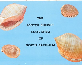 Popular items for carolina postcards on Etsy