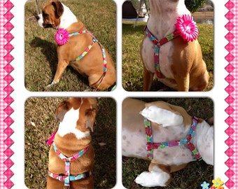 Popular items for custom dog harness on Etsy