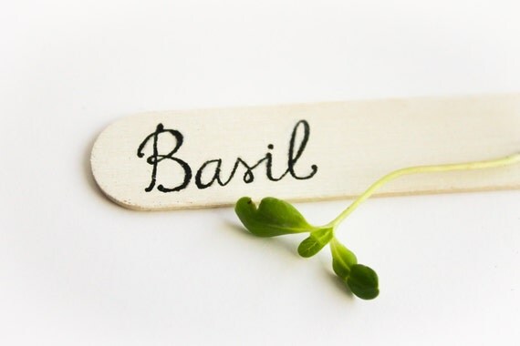 Items similar to Plant marker - Basil plant - Calligraphy wooden herb ...