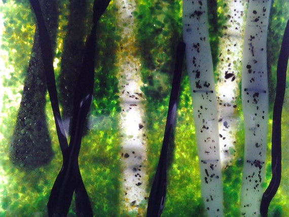 Fused Glass Art Birch Tree Forest Glass by AngelasArtGlass on Etsy