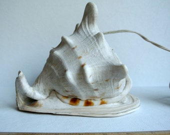 Vintage Real Conch Shell Seashell Light Handmade Night Light Lamp