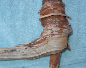 Popular items for pine knots on Etsy