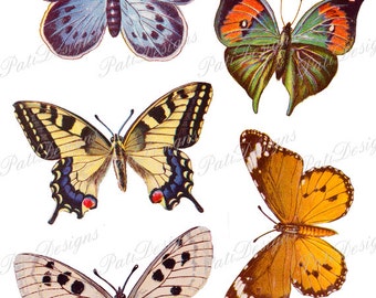 Butterfly Collage Sheet, Digital Download - Jpeg Jpg Png Butterflies ...