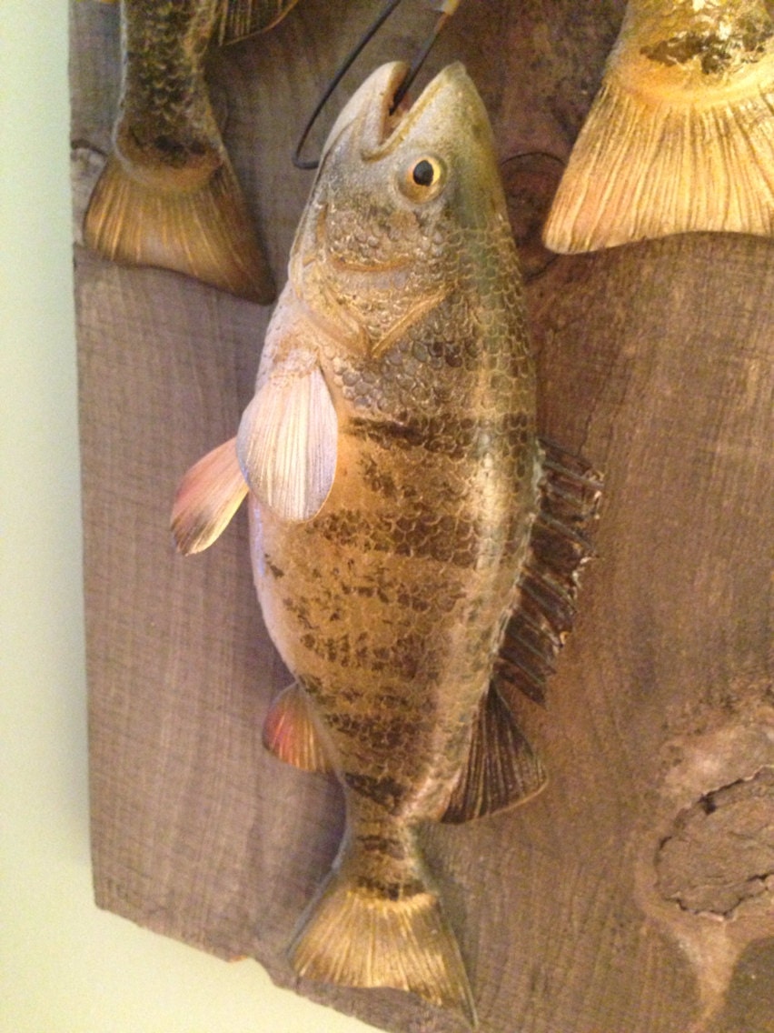 SALE Fish woodcarving three perch wood carving by MZWoodcarvings