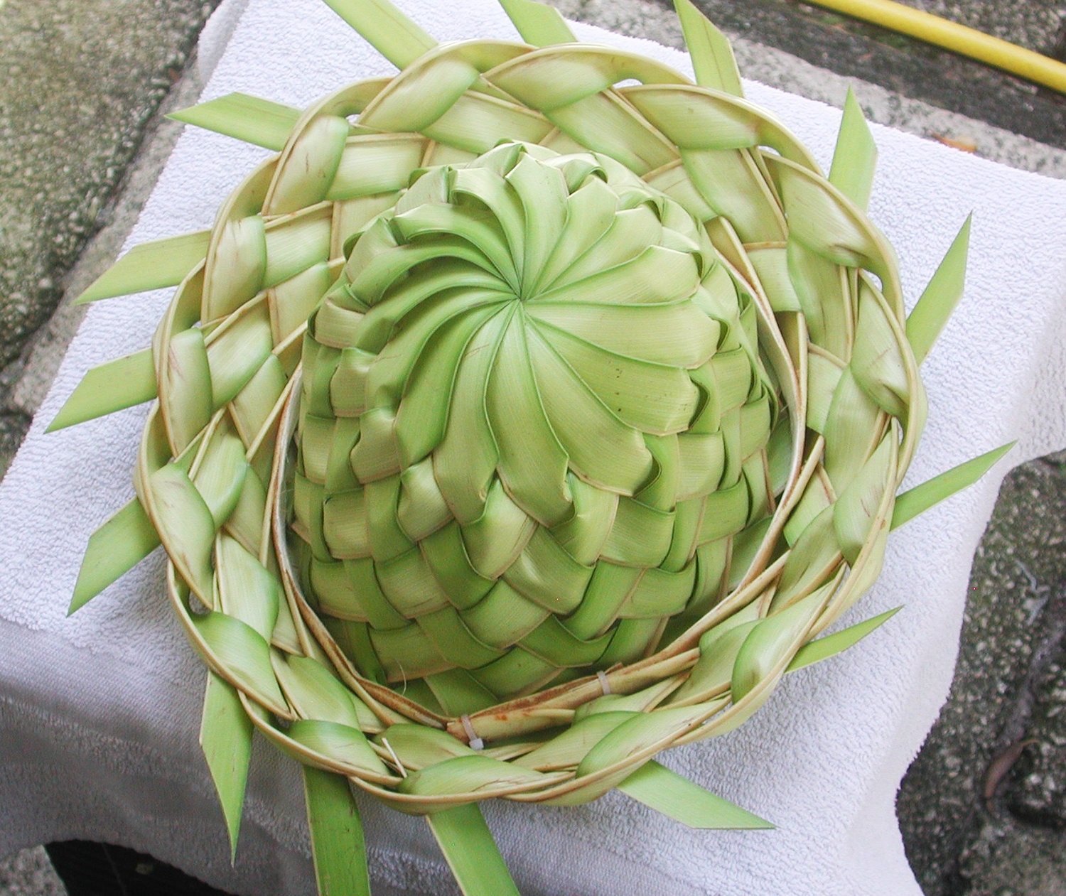 Coconut Palm Tree Or Palm Frond Hat