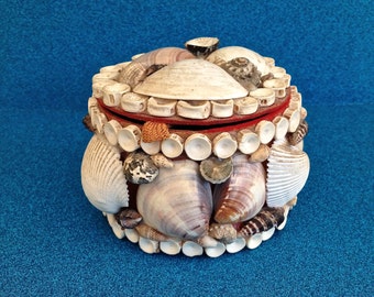 Popular items for vintage seashell on Etsy