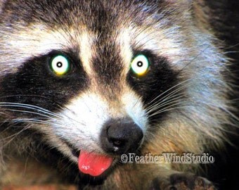 Popular items for animal faces on Etsy