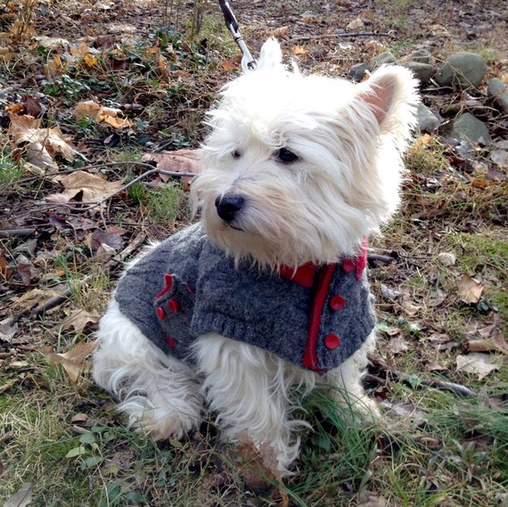 Items similar to Felted Wool Dog Coat in Gray with Cables, Red Trim and ...